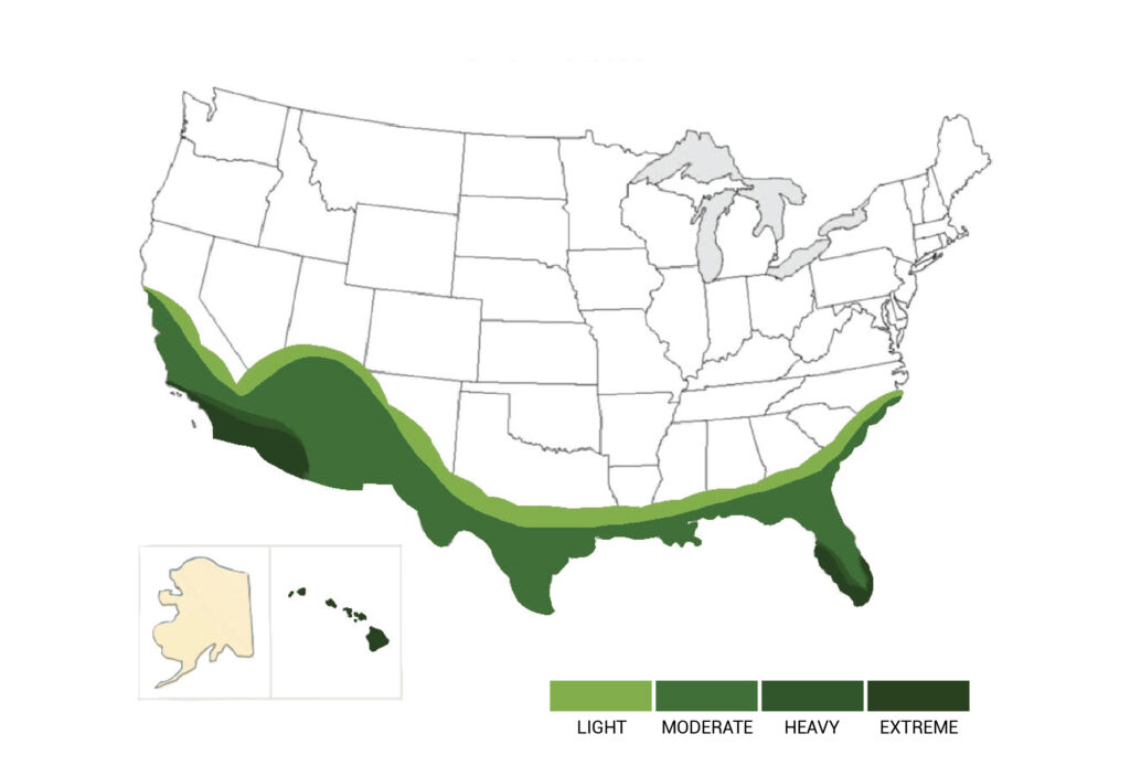 How to Prevent a Termite Infestation - Central Coast Termite & Pest
